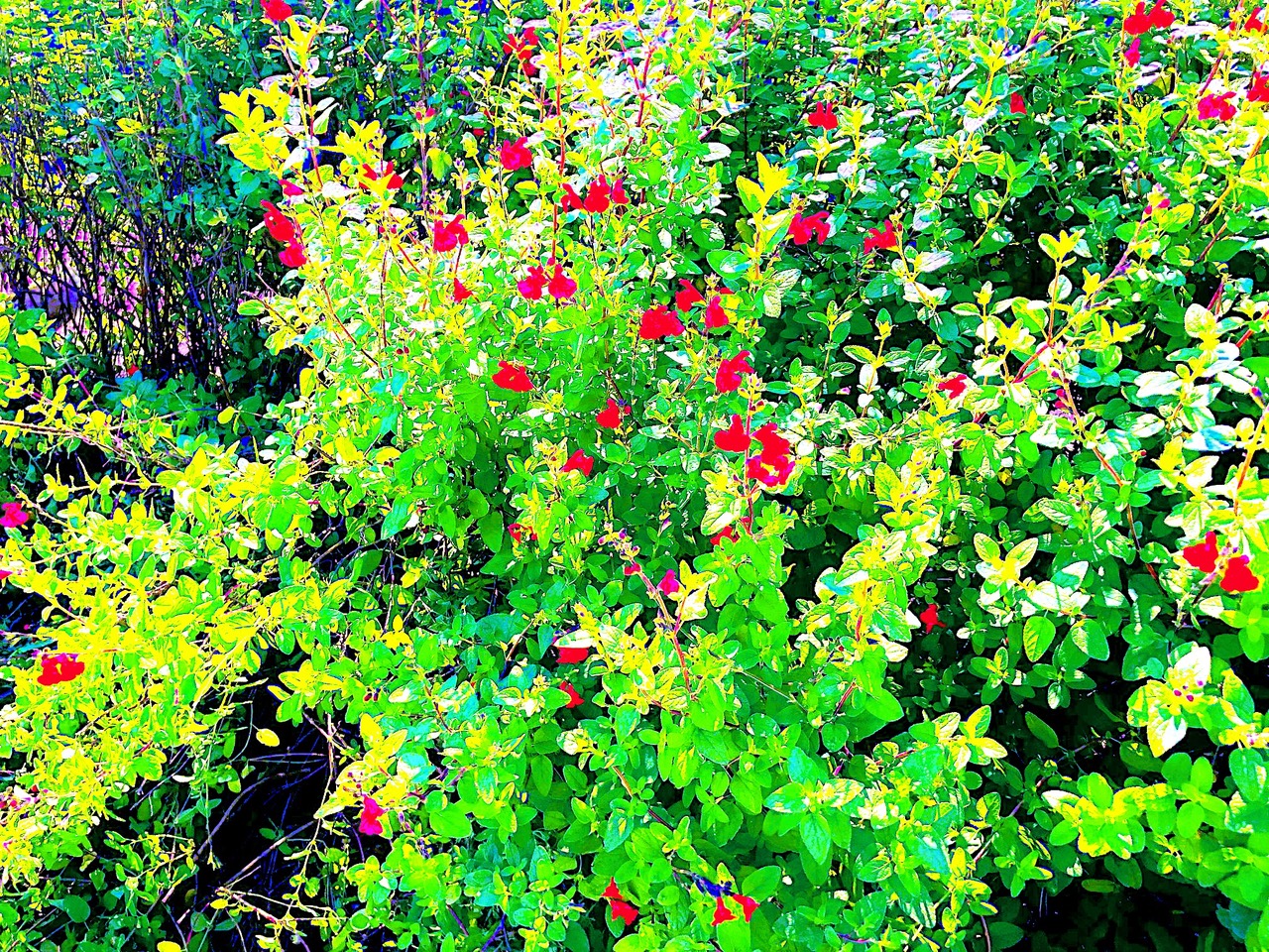 Si j’étais... avec Jean-Pascal Cabrera - SFS